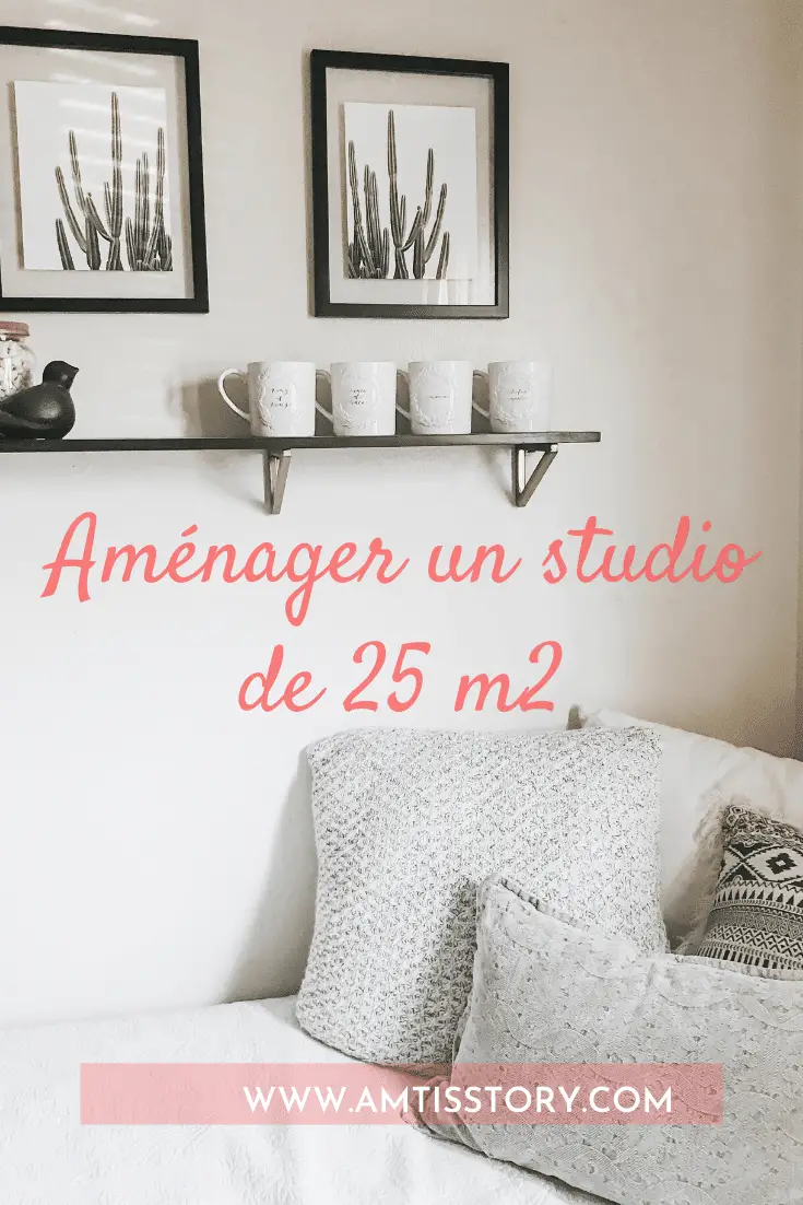 Aménager et décorer un studio de 25 m2, trois exemples – Amtisstory