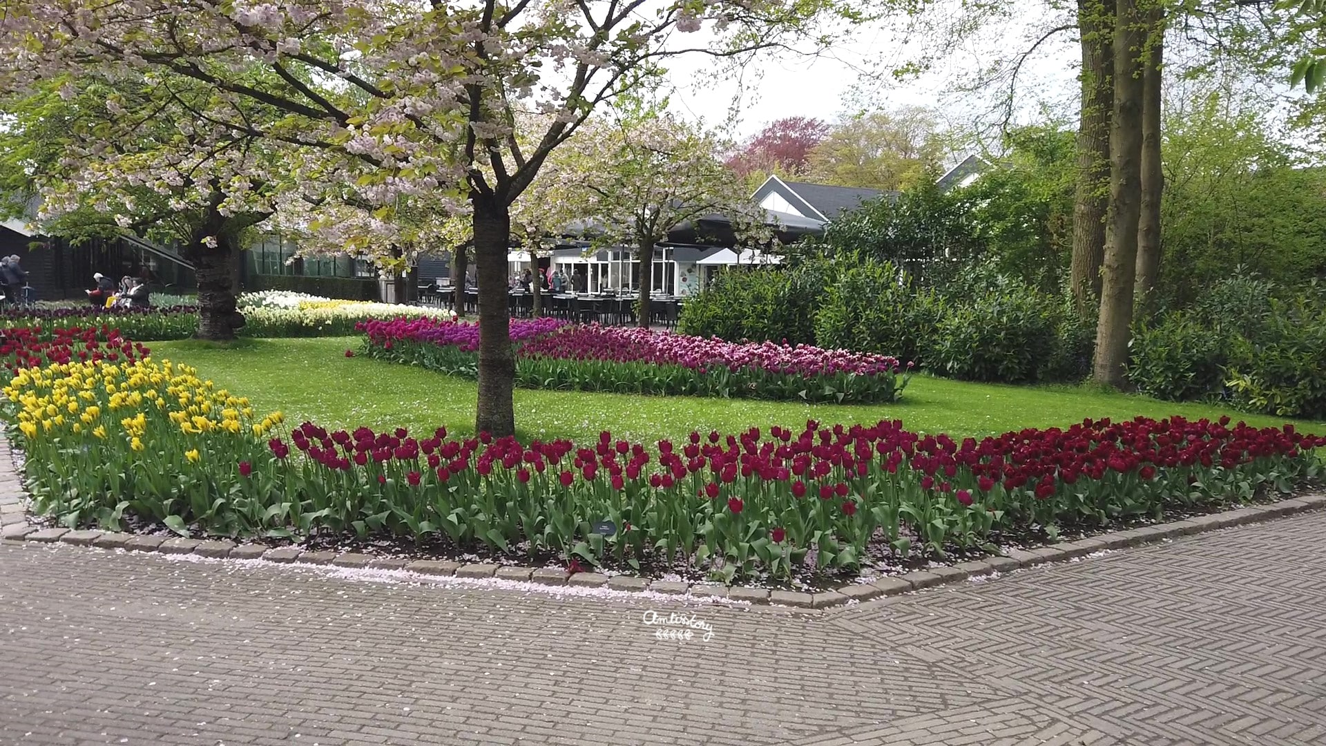 Ma visite au parc de Keukenhof près d'Amsterdam – Amtisstory